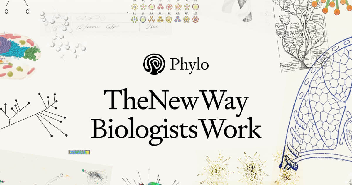 Phylo - AI Agents for Biomedical Research